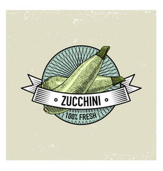 Zucchini vintage set of labels emblems or logo Vector Image
