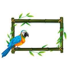 A parrot on bamboo border Royalty Free Vector Image