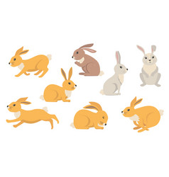 Set of funny rabbits with nature background Vector Image
