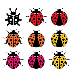 Ladybird ladybug set of symbols Royalty Free Vector Image