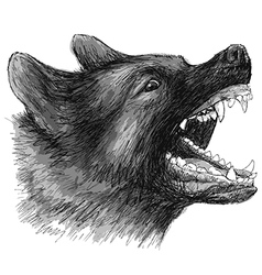 Angry German Shepherd 2 Royalty Free Vector Image