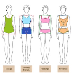 Lady shape Royalty Free Vector Image - VectorStock