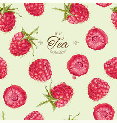 Raspberry seamless pattern Royalty Free Vector Image