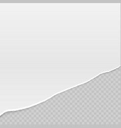 Torn notebook paper pieces realistic Royalty Free Vector