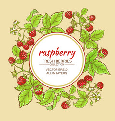 Raspberry set Royalty Free Vector Image - VectorStock