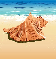 Cartoon little boy with seashells in a sand Vector Image
