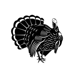 Turkey Royalty Free Vector Image - VectorStock