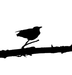 Bird on a tree branch Royalty Free Vector Image