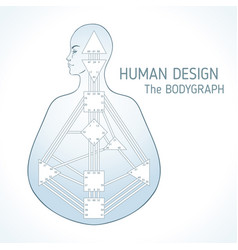 Human design bodygraph chart design Royalty Free Vector