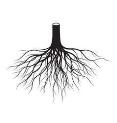 Set black tree roots Royalty Free Vector Image