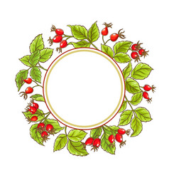 Wild rose frame Royalty Free Vector Image - VectorStock