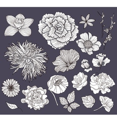 Floral edge design Royalty Free Vector Image - VectorStock