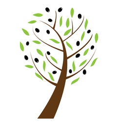 Olive tree Royalty Free Vector Image - VectorStock