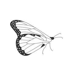 Set of outlines of side view butterflies Vector Image