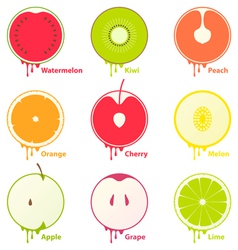 Half fruits apricot cherry strawberries peach Vector Image