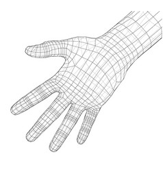 Human body Royalty Free Vector Image - VectorStock