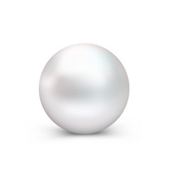 Realistic different colors pearls set round Vector Image