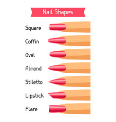 Drops of nail polish and bottles Royalty Free Vector Image