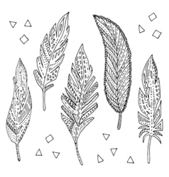 Feather elements set Royalty Free Vector Image