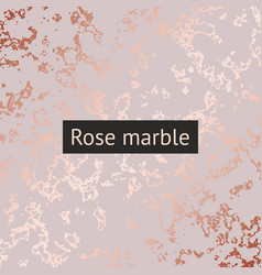 Rose marble decorative pattern for design and Vector Image