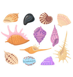 Ocean cockleshells cartoon sea shells Royalty Free Vector