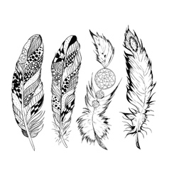Stylized feathers Royalty Free Vector Image - VectorStock