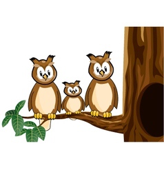 Cartoon owls collection set Royalty Free Vector Image