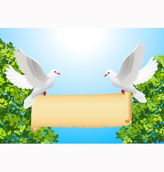 Doves with banner Royalty Free Vector Image - VectorStock