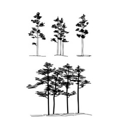 Hand drawn architect tree architectural sketch Vector Image