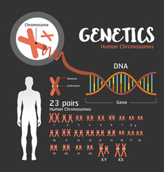 Periodic table of element showing electron shells Vector Image