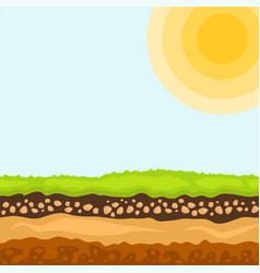 Soil layers Royalty Free Vector Image - VectorStock