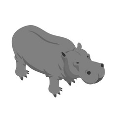 Hippopotamus cartoon animal Royalty Free Vector Image