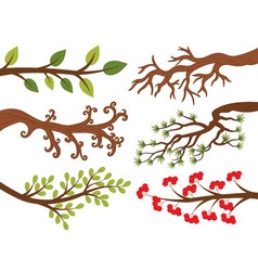 Tree Branches Royalty Free Vector Image - VectorStock