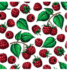 Raspberry seamless pattern drawing Royalty Free Vector Image