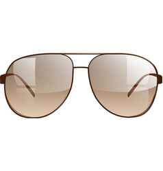 Aviator Sunglasses Royalty Free Vector Image - VectorStock