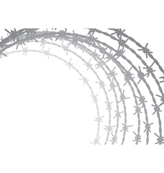 Barb coil Royalty Free Vector Image - VectorStock