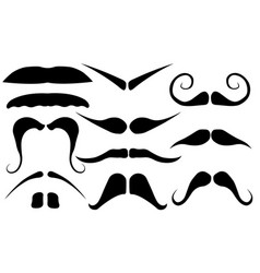 Set dice in different positions Royalty Free Vector Image