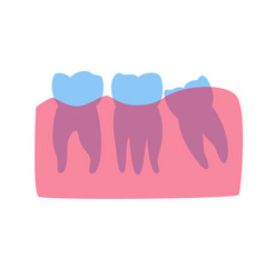 Healthy tooth and apple Royalty Free Vector Image