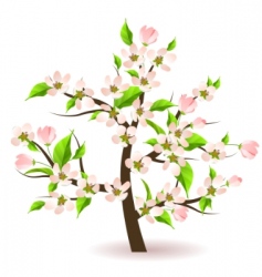Stylized apple tree Royalty Free Vector Image - VectorStock