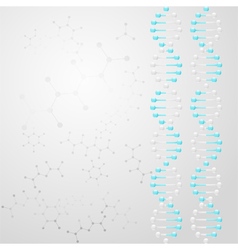 Dna seamless background Royalty Free Vector Image