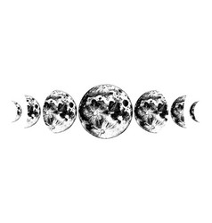 Moon Phases Royalty Free Vector Image - Vectorstock