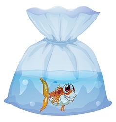 Green fishes inside the plastic pouch Royalty Free Vector