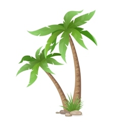 Two palms tree isolated Royalty Free Vector Image