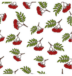 Seamless pattern with hand drawn maple leaves Vector Image