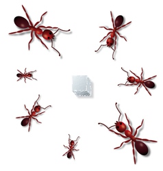 Ants dragging carts Royalty Free Vector Image - VectorStock