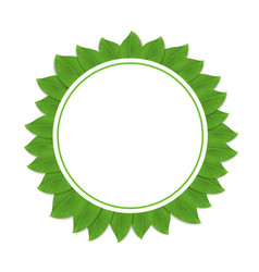 Round green frame with leaves Royalty Free Vector Image