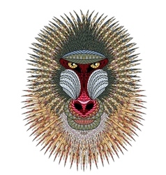 Hand drawn style of mandrill monkey head Vector Image