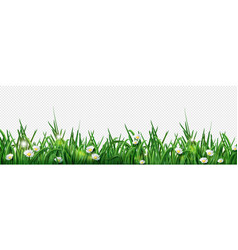 Spring grass seamless border with flowers Vector Image