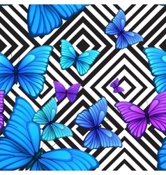 Modern poster with beautiful butterflies Vector Image