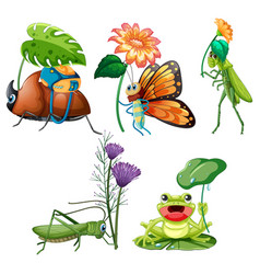 Grasshopper cute cartoon insects in action poses Vector Image